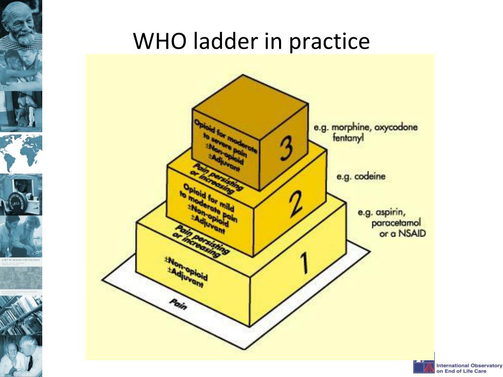 PPT - Cancer pain management Using evidence to support practice ... PPT - Cancer pain management Using evidence to support practice ...