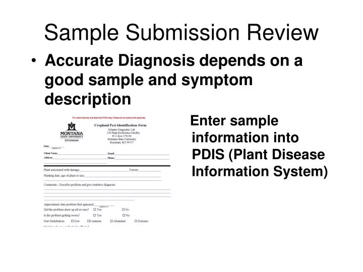 PPT - Sample Submission Review PowerPoint Presentation, free download ...