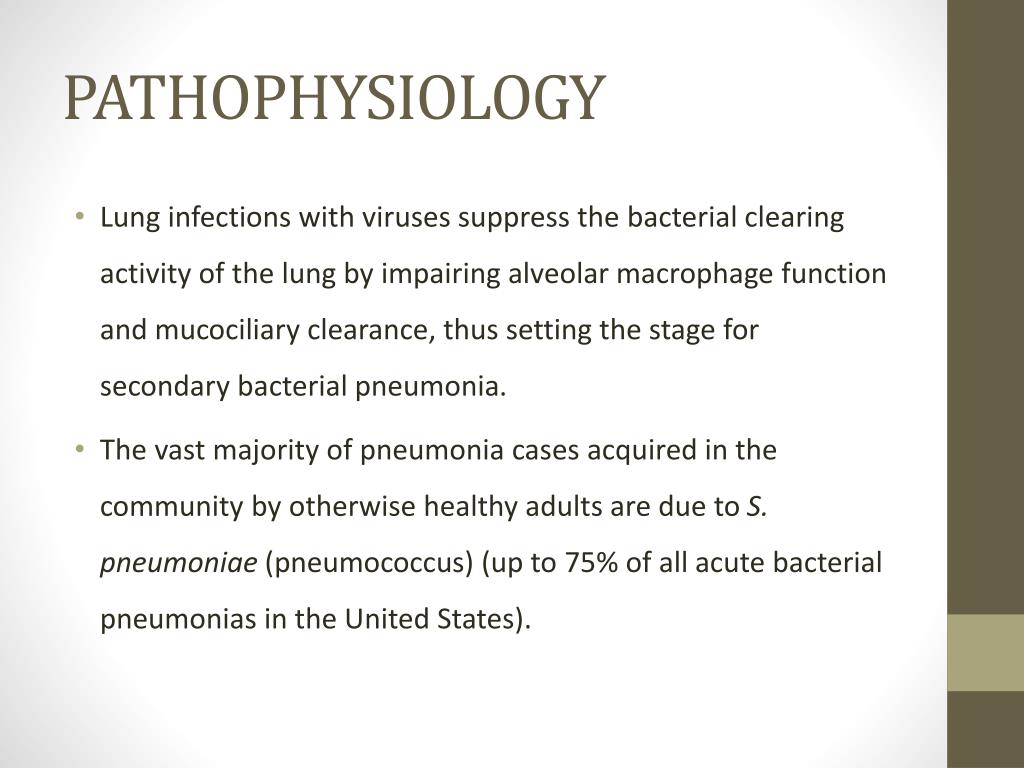 PPT - Lower Respiratory Tract Infections: Pneumonia PowerPoint ...