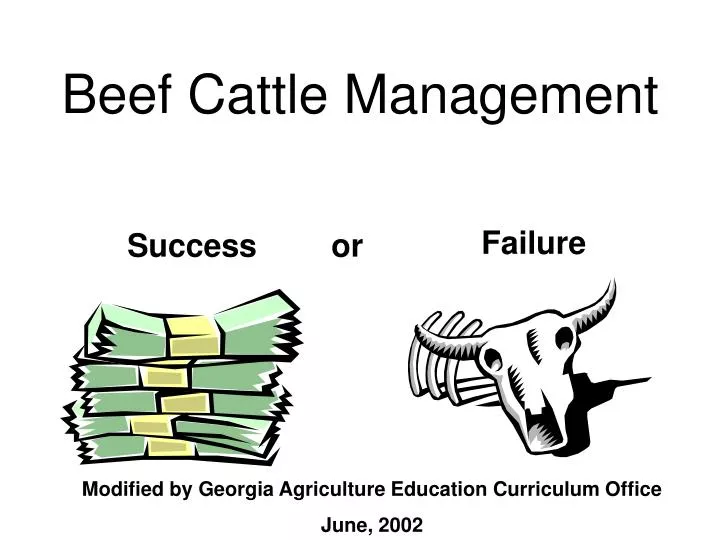 PPT - Beef Cattle Management PowerPoint Presentation, free download ...