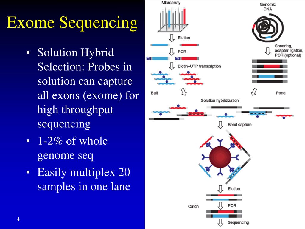 Ppt Genome Exome Sequencing Read Mapping Powerpoint Presentation My