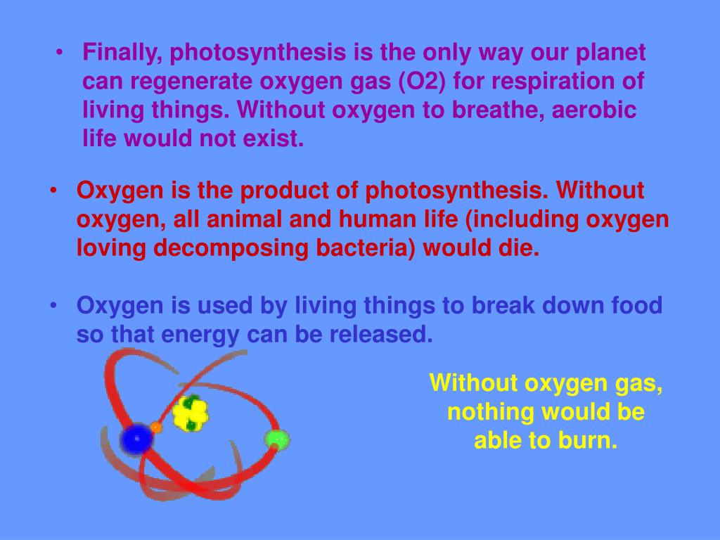 PPT - CHARACTERISTICS OF LIFE All living things use energy PowerPoint ...