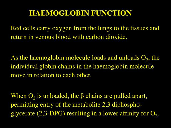 PPT - THE RED BLOOD CELL PowerPoint Presentation - ID:3010753