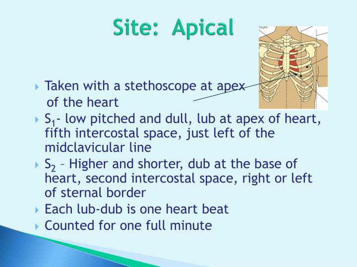 PPT - Vital Signs PowerPoint Presentation - ID:3010911