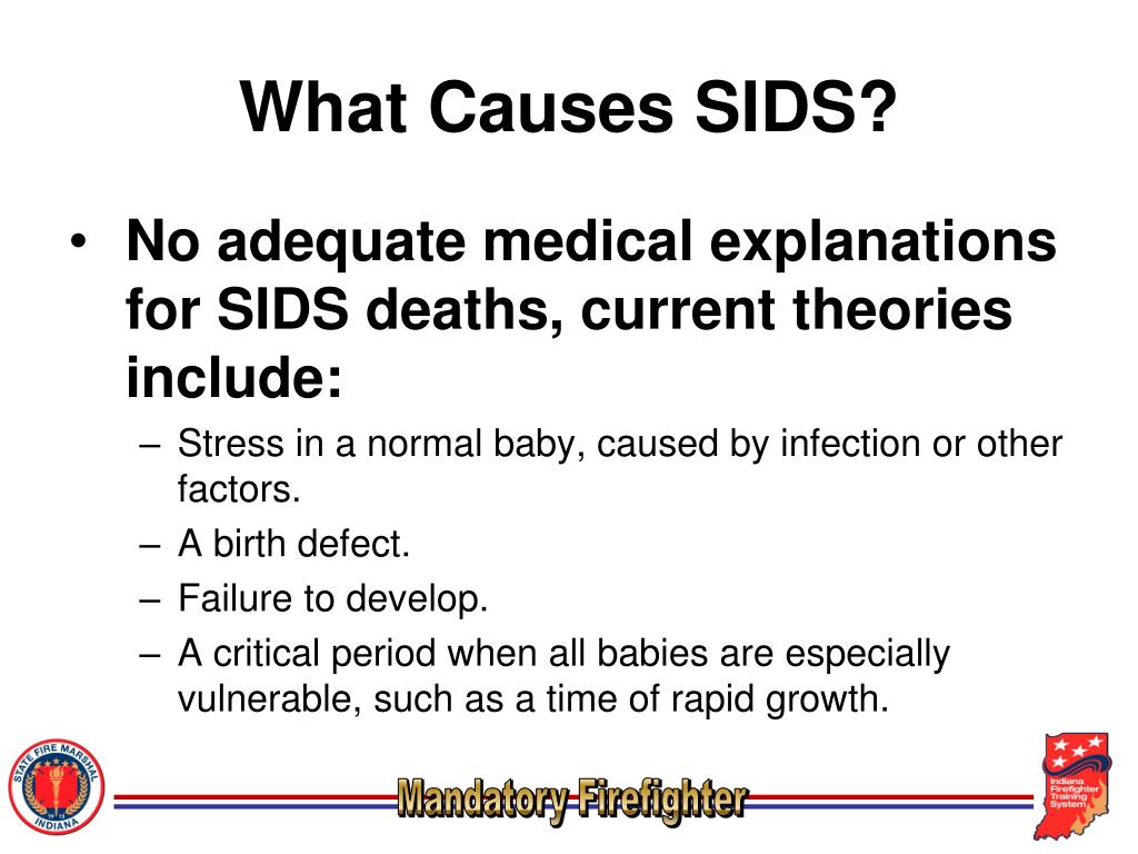 PPT - Sudden Infant Death Syndrome PowerPoint Presentation, free ...