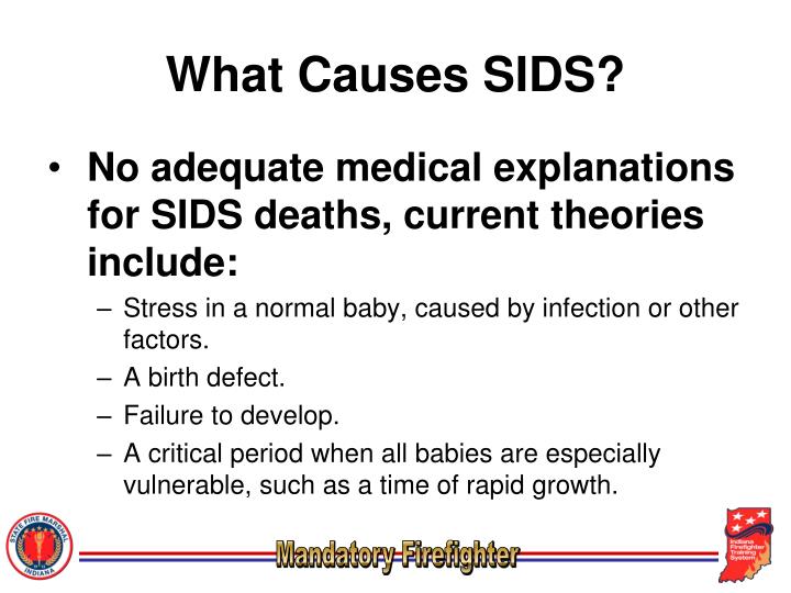PPT - Sudden Infant Death Syndrome PowerPoint Presentation - ID:3012156