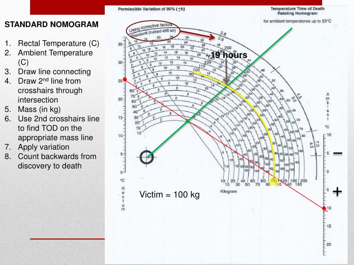 PPT - POST MORTEM INTERVAL PowerPoint Presentation - ID:3012503