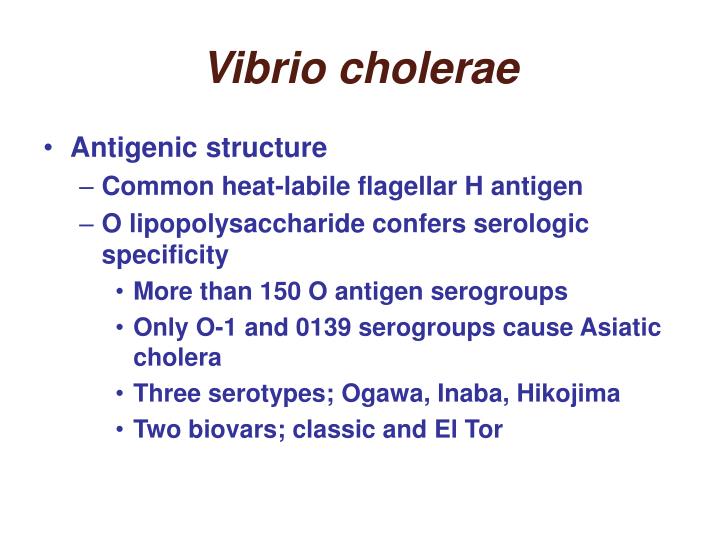 PPT - Vibrio cholerae PowerPoint Presentation - ID:3012746