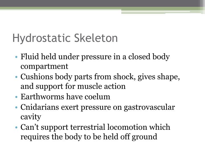 PPT - Animal Movement PowerPoint Presentation - ID:3012965