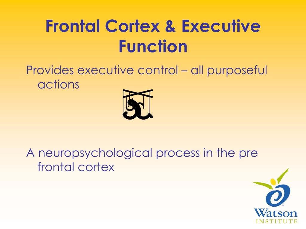 PPT - Organizational Skills for Students Marcia Laus marciala ...