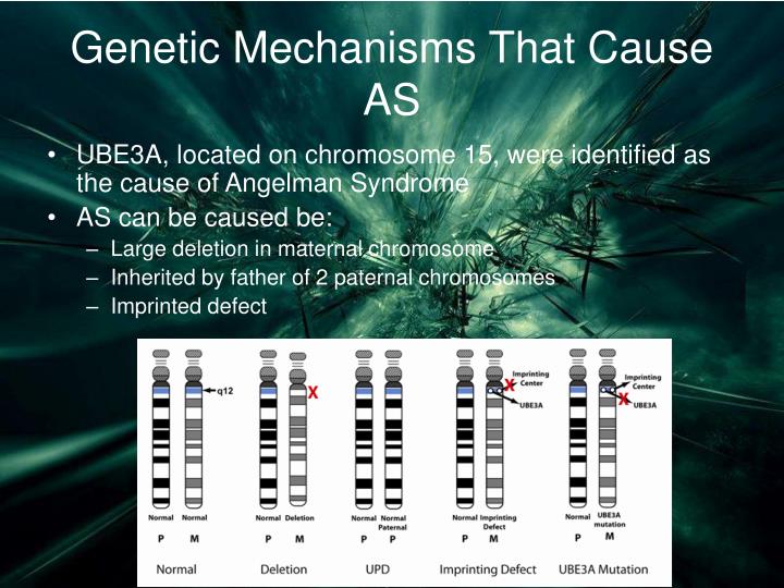 PPT - ANGELMAN SYNDROME PowerPoint Presentation - ID:3013941