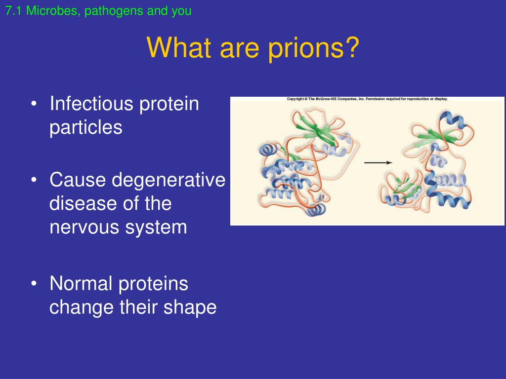 PPT - Chapter 7 PowerPoint Presentation, free download - ID:3013984