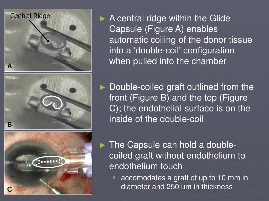PPT - Dr Wei-Boon KHOR, MRCS(Ed), Dr Jodhbir S MEHTA, FRCS(Ed), Prof ...