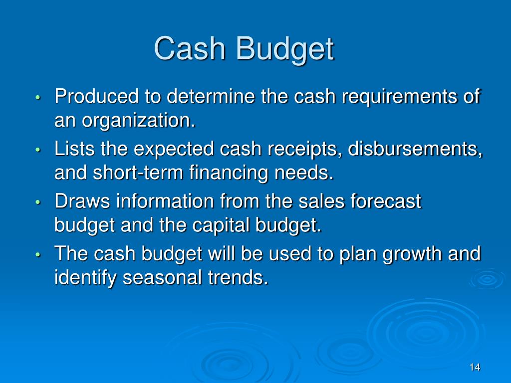 PPT - Planning and Control of Cash and Short term Investments ACCT7320 ...