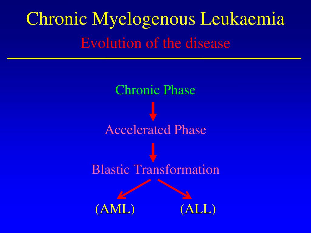 PPT - WHO Classification Chronic Myeloproliferative Disease PowerPoint ...