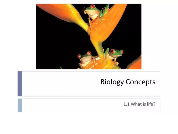 PPT - Biology Concepts PowerPoint Presentation, free download - ID:3014473