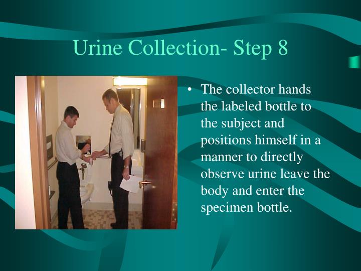 PPT - Urine Collection and Chain of Custody Procedures PowerPoint ...