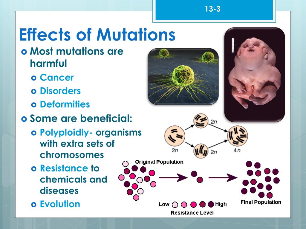 Ppt Chapter 13 3 Mutations Powerpoint Presentation Free Download