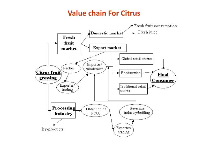 PPT - VALUE CHAIN ANALYSIS OF FRUITS ( CITRUS AND MANGO) PowerPoint ...