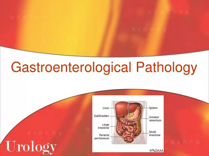 PPT - Gastroenterological Pathology PowerPoint Presentation, free ...