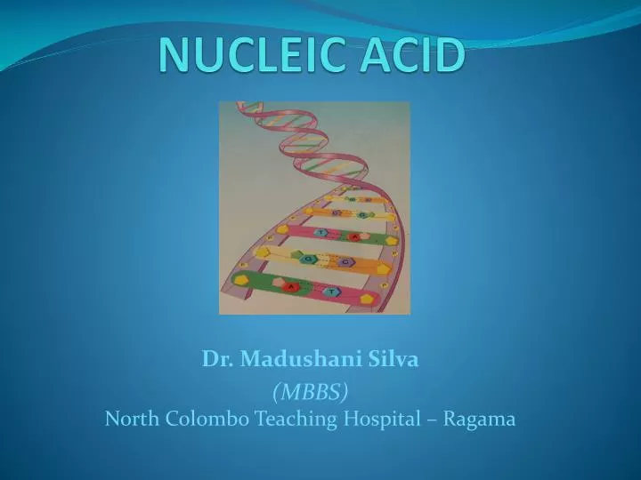 PPT - NUCLEIC ACID PowerPoint Presentation, free download - ID:3015883