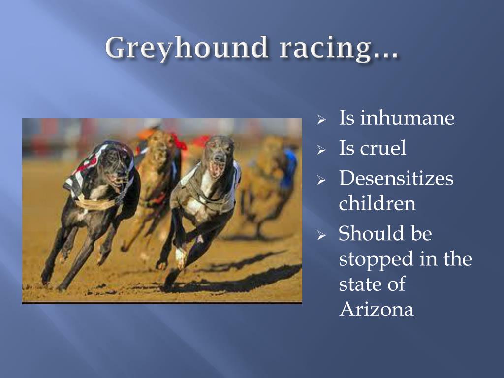 PPT - Students Helping Greyhounds Doolen Middle School Tucson, Arizona ...