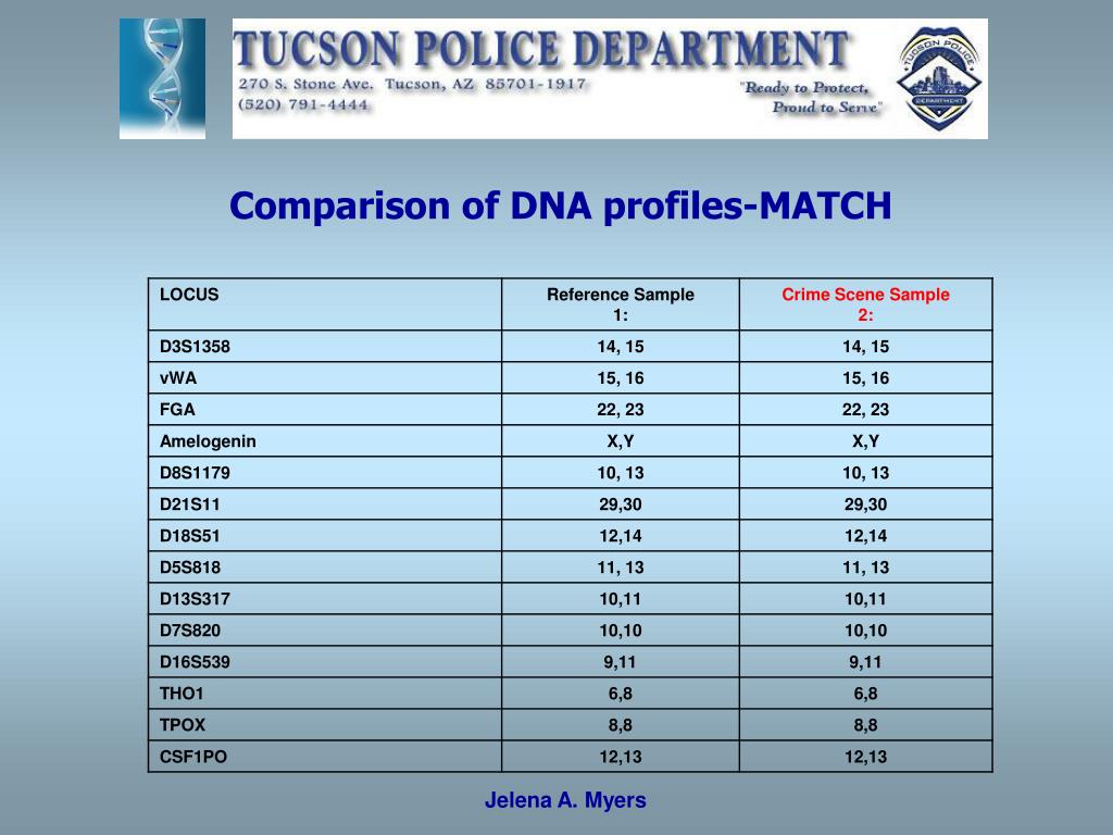 PPT - Forensic DNA Analysis Jelena A. Myers Senior Criminalist (DNA ...