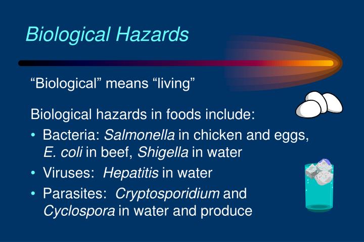 PPT - Module 1: Understanding Hazards Associated with Foods PowerPoint ...