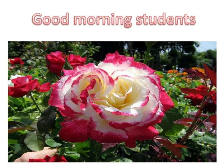 PPT - Good morning students PowerPoint Presentation, free download - ID ...