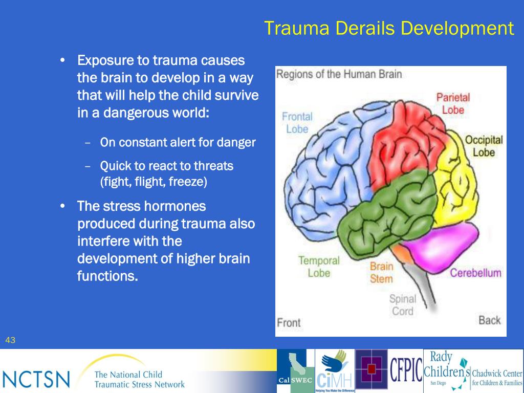 PPT - Child Traumatic Stress: Impact, Types, and Prevalence PowerPoint ...