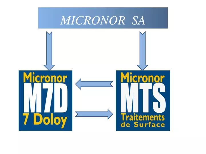 PPT - MICRONOR SA PowerPoint Presentation, free download - ID:3018728