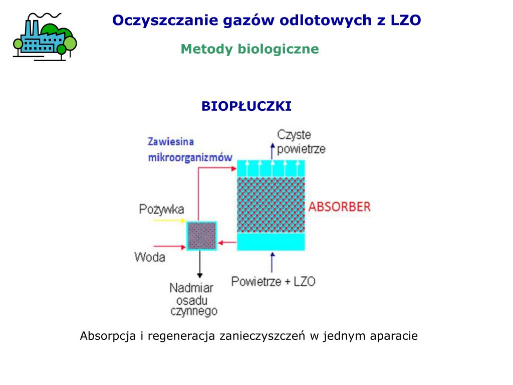 PPT - B iodegradacj a LZO za pomoc ą mikroorganizmów : PowerPoint ...