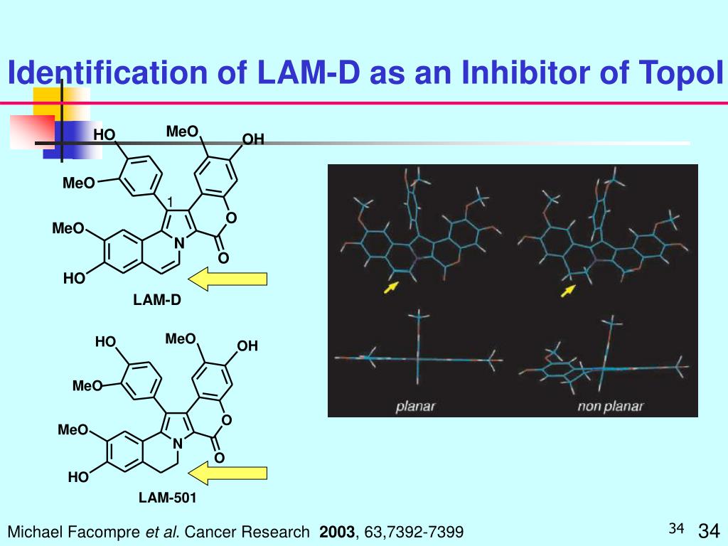 PPT - Synthesis of Lamellarin D A Novel Potent Inhibitor of DNA ...