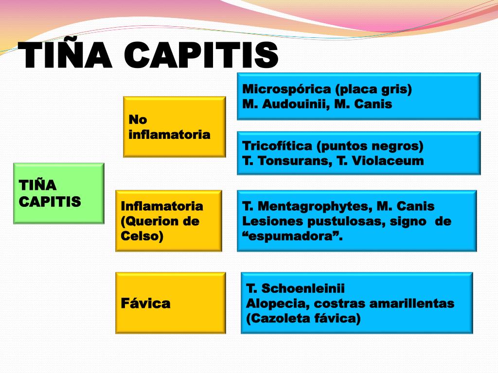 Tinea Capitis Tratamento Pediatria - BRAINCP