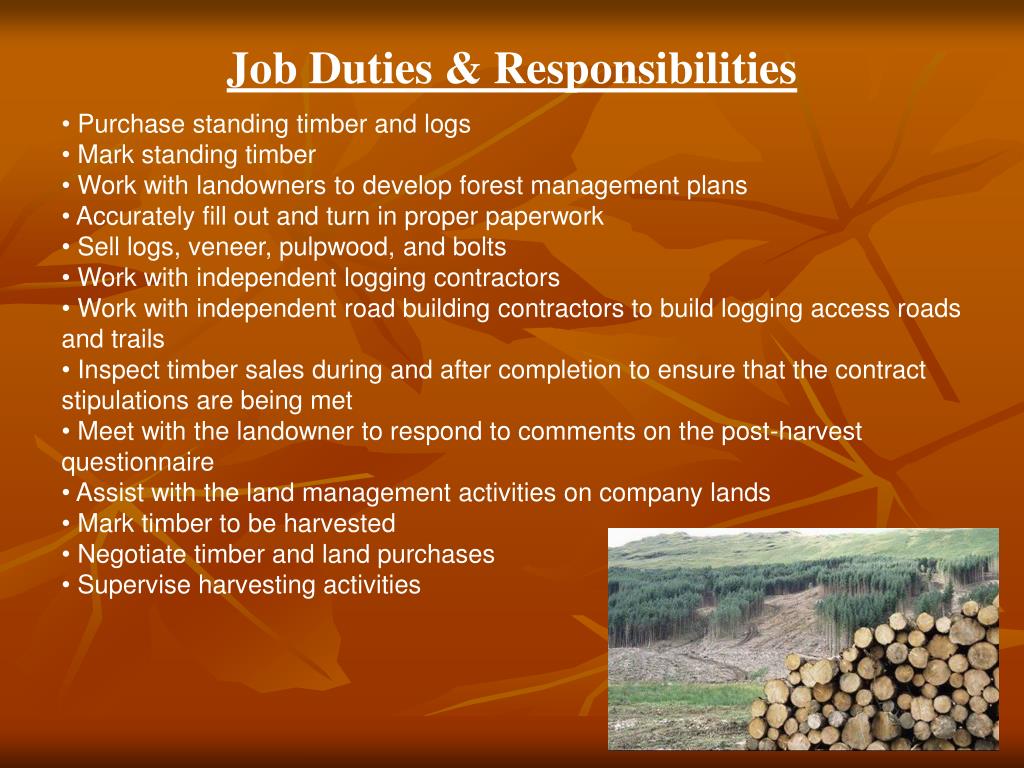 PPT - Agricultural Careers Timber Procurement Forester PowerPoint ...