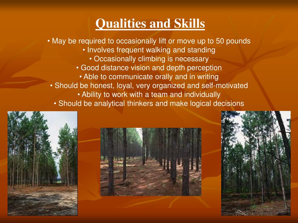 PPT - Agricultural Careers Timber Procurement Forester PowerPoint ...