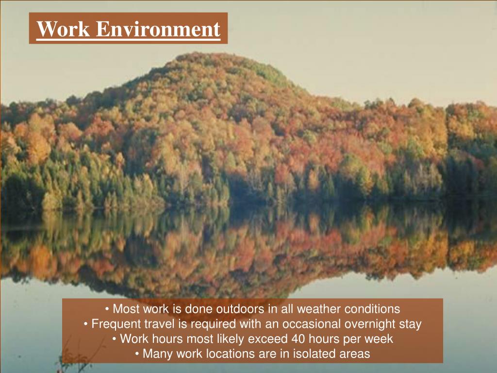 PPT - Agricultural Careers Timber Procurement Forester PowerPoint ...