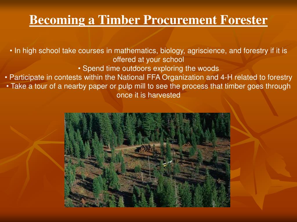 PPT - Agricultural Careers Timber Procurement Forester PowerPoint ...
