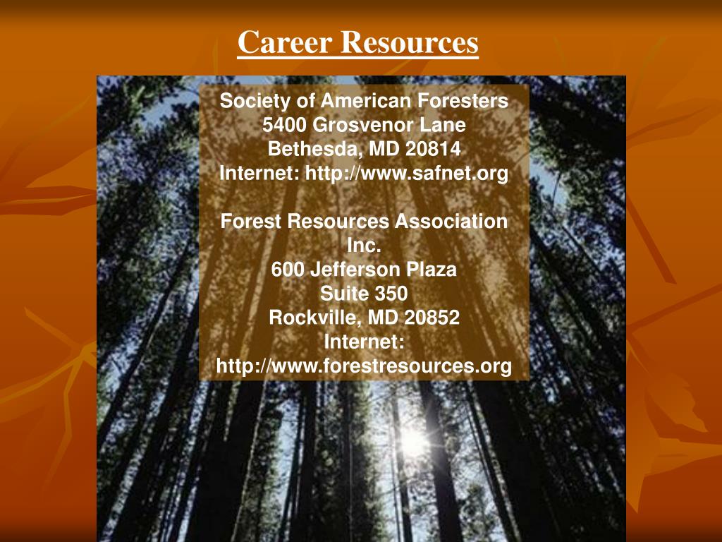 PPT - Agricultural Careers Timber Procurement Forester PowerPoint ...