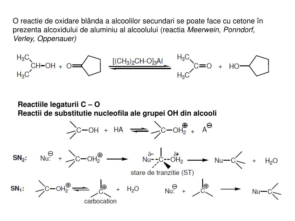 PPT - COMPUŞI ORGANICI CU GRUPE FUNCŢIONALE MONOVALENTE PowerPoint ...