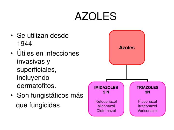 PPT - ANTIMICÓTICOS TÓPICOS Y SISTÉMICOS PowerPoint Presentation - ID:3020709