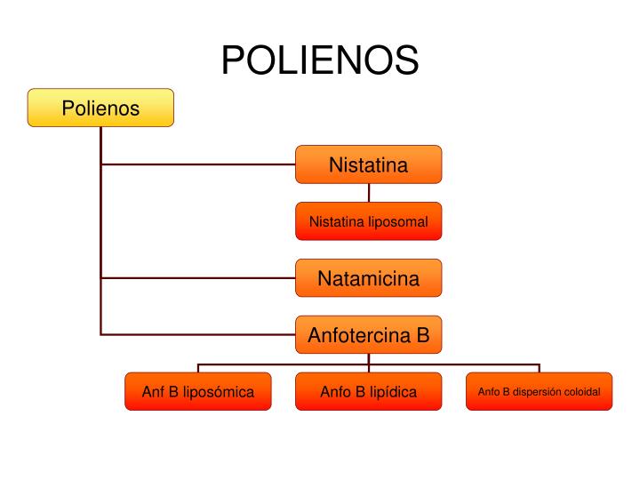 PPT - ANTIMICÓTICOS TÓPICOS Y SISTÉMICOS PowerPoint Presentation - ID ...