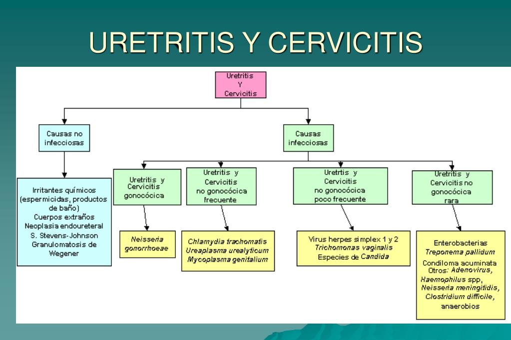 PPT - DIAGNOSTICO DE LAS INFECCIONES DE TRANSMISIÓN SEXUAL PowerPoint ...