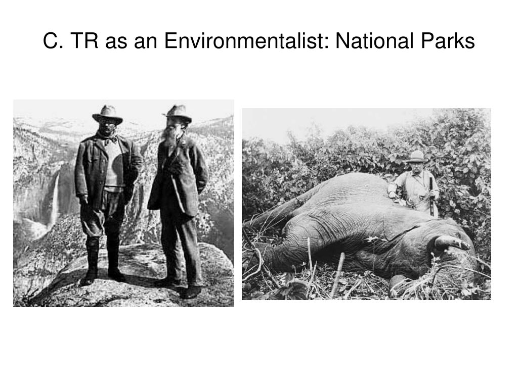 PPT - Comparing Two Progressive Era Presidents: Teddy Roosevelt ...
