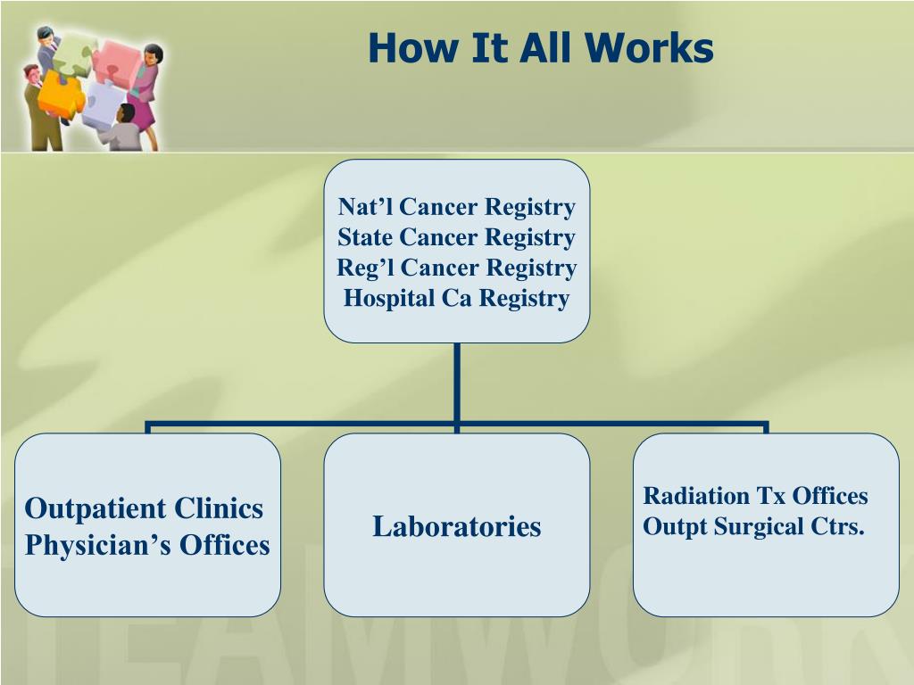 PPT - What the Heck is a Cancer Registrar PowerPoint Presentation, free ...