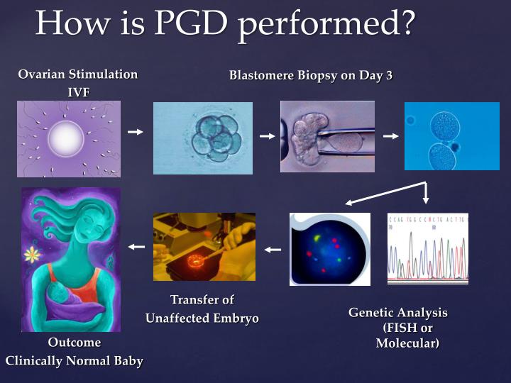 PPT - Preimplantation Genetic Diagnosis: An Overview Dr. Laila Bastaki ...