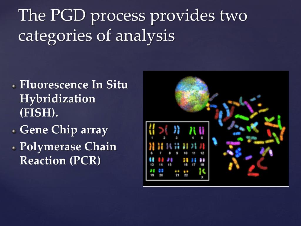PPT - Preimplantation Genetic Diagnosis: An Overview Dr. Laila Bastaki ...