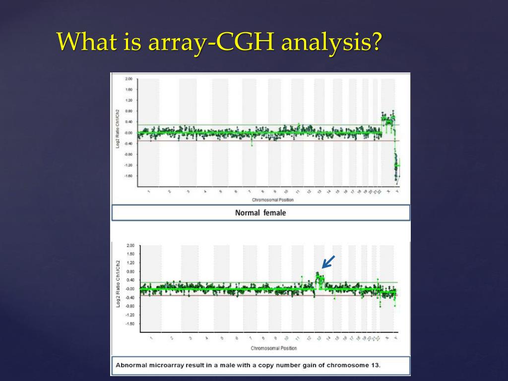 PPT - Preimplantation Genetic Diagnosis: An Overview Dr. Laila Bastaki ...