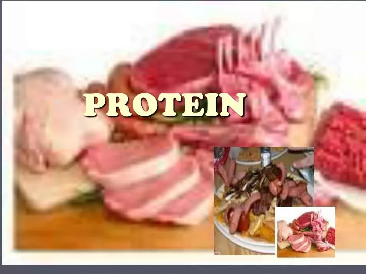 PPT - PROTEIN PowerPoint Presentation, free download - ID:3023347