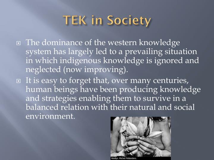 PPT - Traditional ECOLOGICAL KNOWLEDGE PowerPoint Presentation - ID:3023559